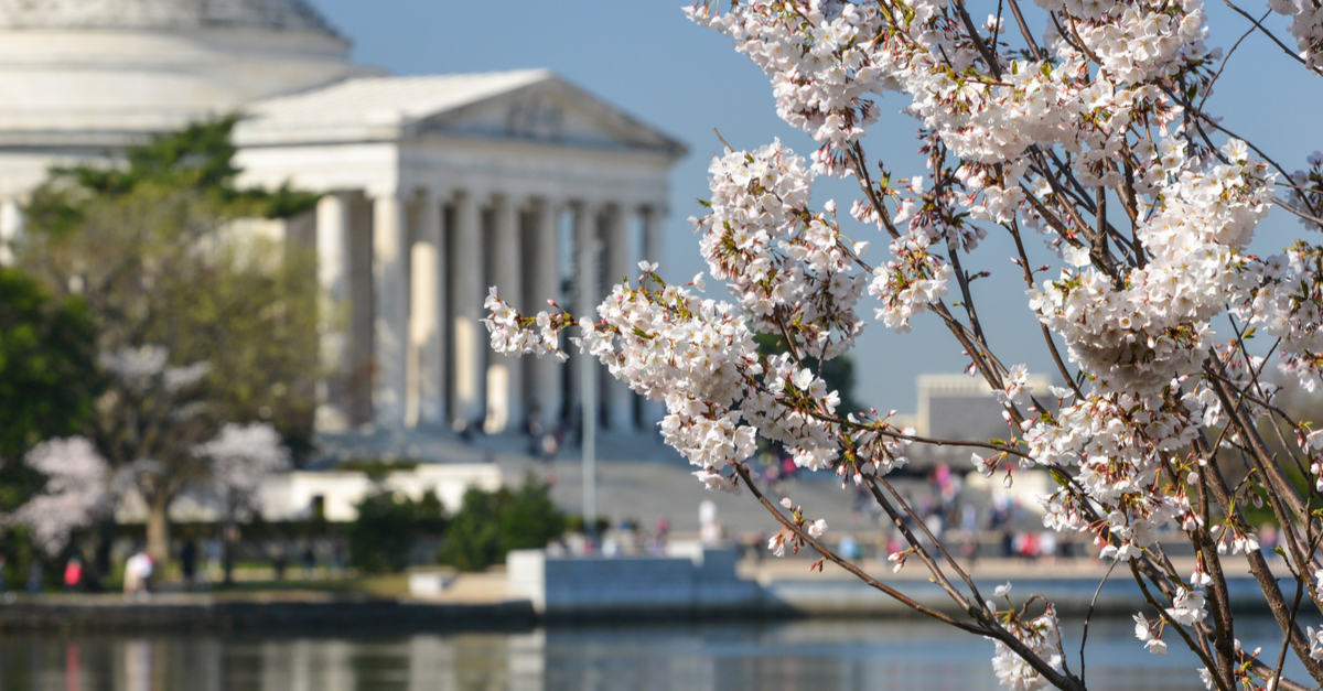 Washington, DC to Chicago Train Times | Book Cheap Tickets | Omio